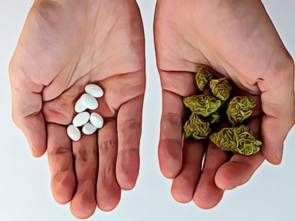 Marijuana Buds Vs Marijuana Flower- What Is The Difference